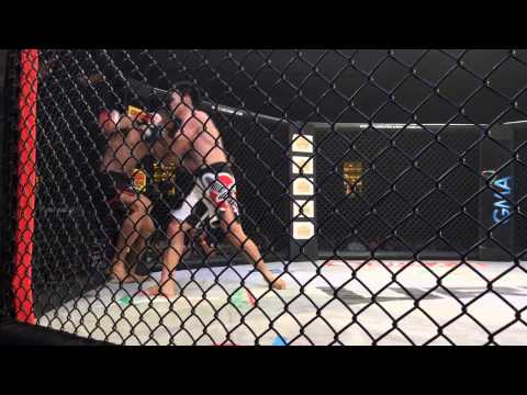 The Filipino Bolo Punch – Pow Salud Studio