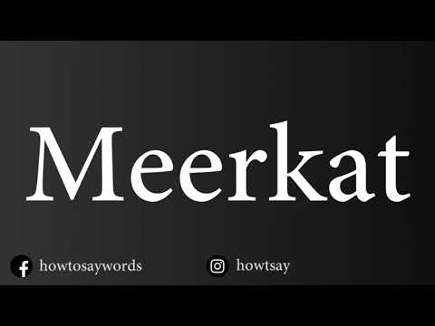 How To Pronounce Meerkat