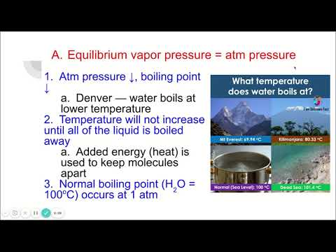 Equilibrium Vapor Pressure Notes