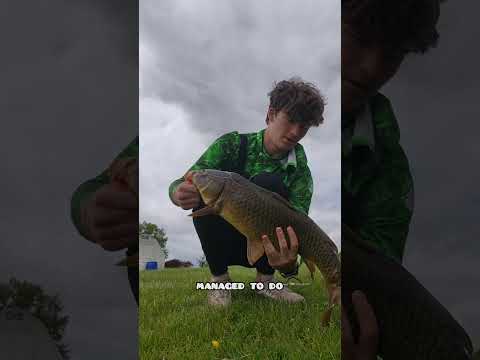Is this the most UNDERRATED fish in the country? #shorts