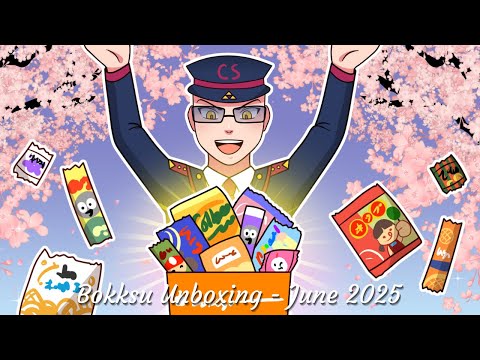 June 2025 Bokksu (Japanese Snacks) Unboxing - Pixel Pop Japan