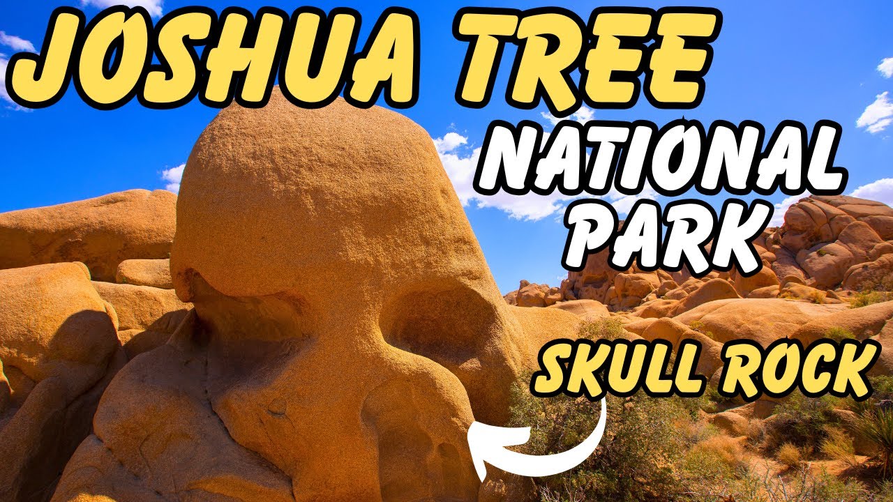 (Joshua Tree NP) Road Trip: History, Art & Desert Majesty