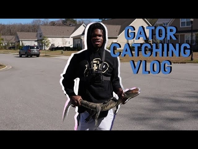 WATCH: When Colorado star Travis Hunter went catching alligators as ...