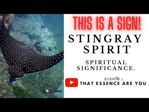 SIGNIFICANCE OF STINGRAY IN SPIRITUALITY | तत्वमसिः।THAT ESSENCE ARE YOU.