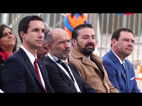 CARDONES POLPAICO