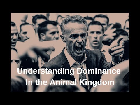 Hierarchy and Authority: Understanding Dominance in the Animal Kingdom - Jordan Peterson