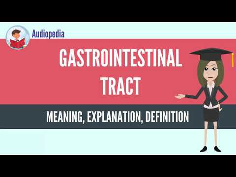 What Is GASTROINTESTINAL TRACT? GASTROINTESTINAL TRACT Definition & Meaning