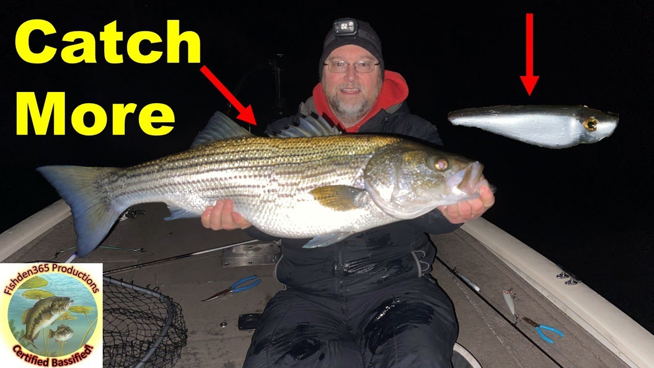 My Secret Method For Catching Stripers At Night