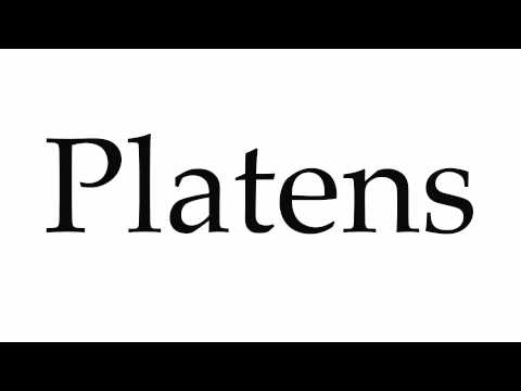 How to Pronounce Platens