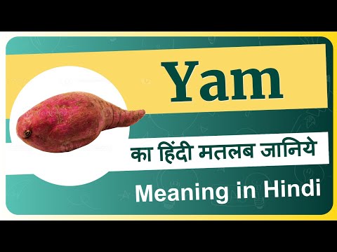 Yam meaning in Hindi | Yam ka matlab kya hota hai | Yam means and hindi word