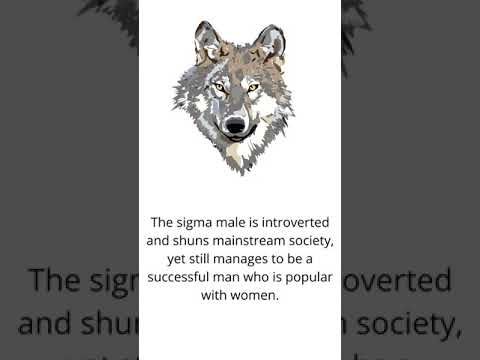 Learn slang - alpha male - meaning and how to use it