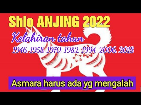 Prediksi Shio ANJING, apa saja yg harus di waspadai