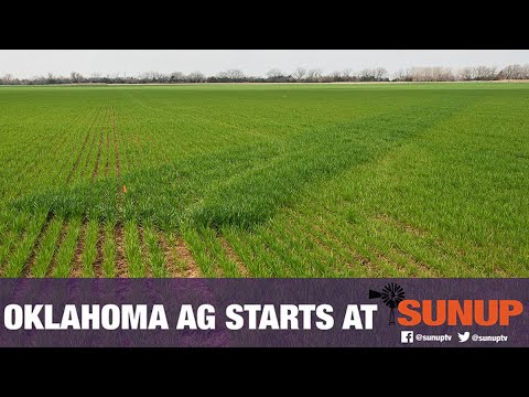 Do you know what Phosphorus means to your soil? (10/14/17)