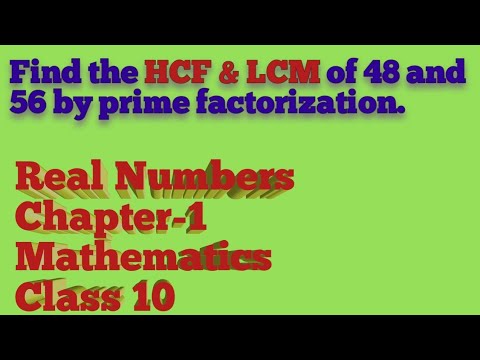 Find the HCF & LCM of 48 and 56 by prime factorization./Mathematics/Class10 #nanagtv
