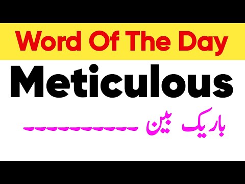 Meticulous | Meticulous Meaning In Urdu | Word Of The Day | 16/01/2025