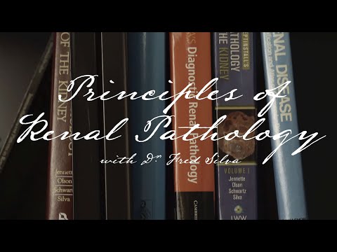 Episode 7: Examining All the Material