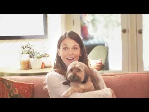 Sutton Foster and her Dachshund Yorkie - Think Adoption First (Petco)