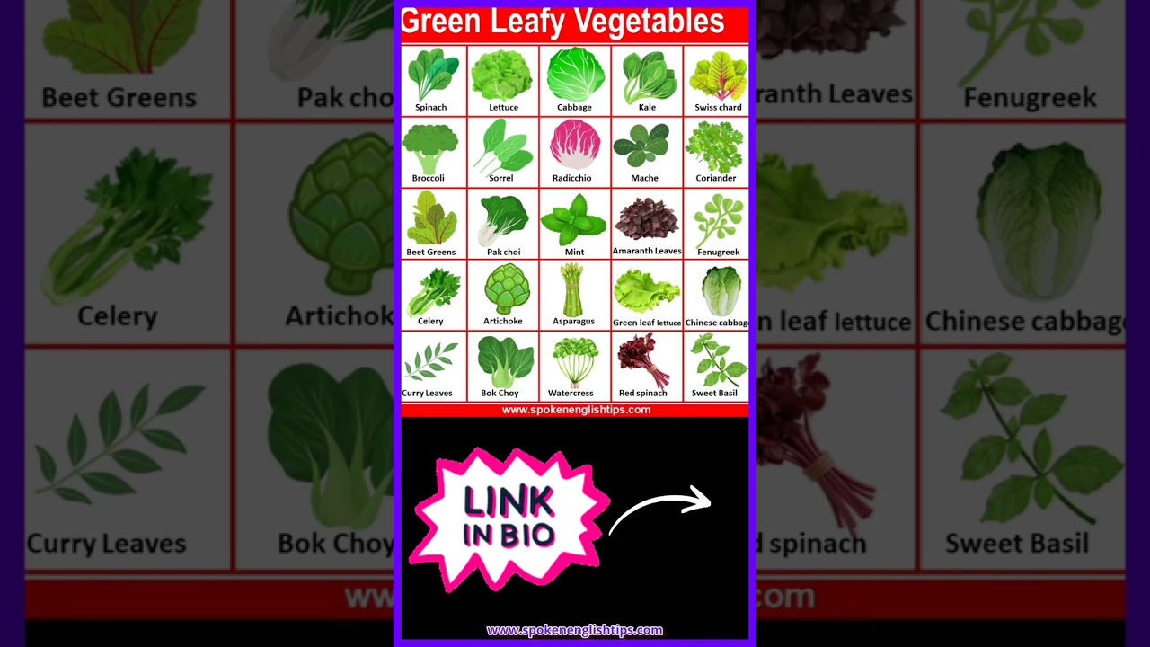 Green Leafy Vegetables Names
