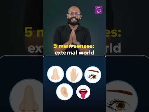 Do Humans Really Have A Sixth Sense? | What Is The Human Sixth Sense? | Mistaken Science | BYJU'S