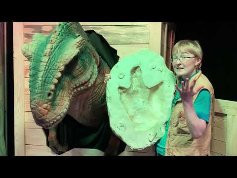 How To Make Trace Fossils