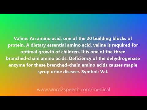 Valine - Medical Meaning and Pronunciation