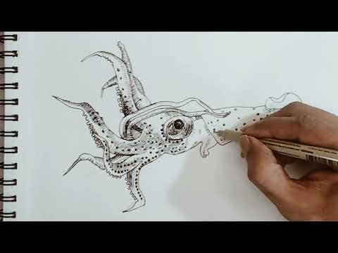 learn to draw a squid easy and step by step