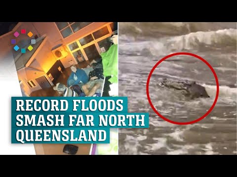 Flygplatsen under vatten och krokodiler mitt i städer