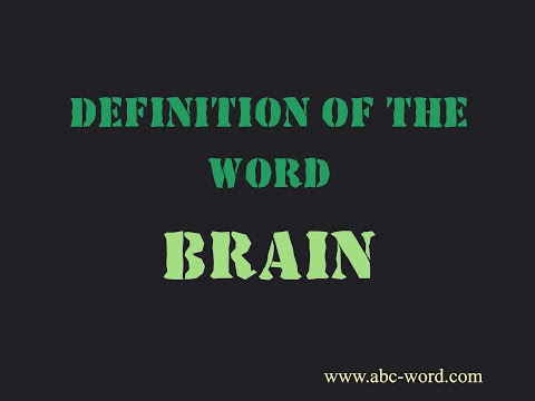 Definition of the word "Brain"