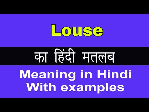 Louse Meaning in Hindi/Louse का अर्थ या मतलब क्या होता है.