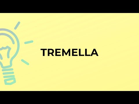 What is the meaning of the word TREMELLA?