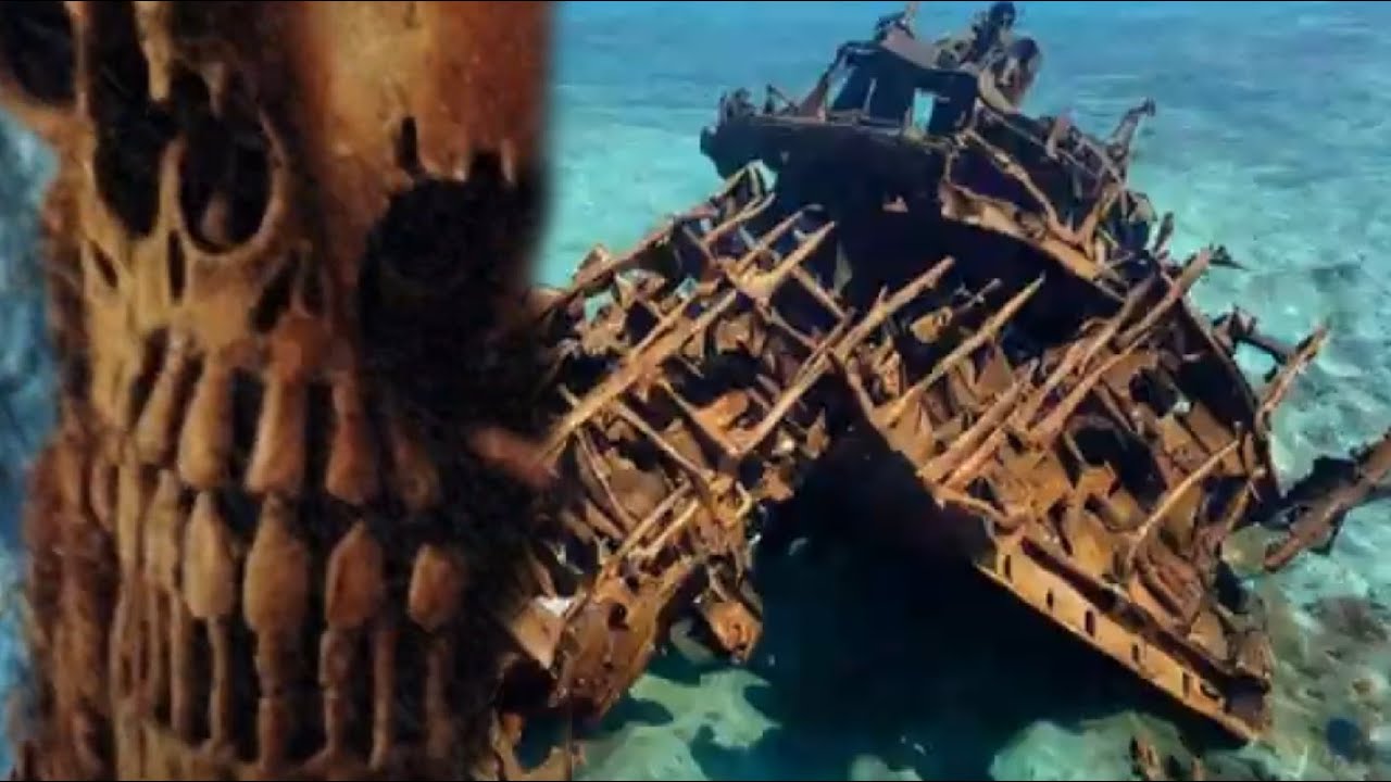 Stable Diffusion Video - Pirate shipwreck underwater, with fish, skeletons & treasure - AI video