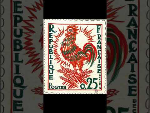 Gallic rooster, symbol of France ❤️🇨🇵
