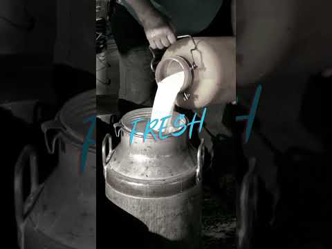 Milk | Sanchi Milk | Sanchi | Sanchi Products | Bhopal