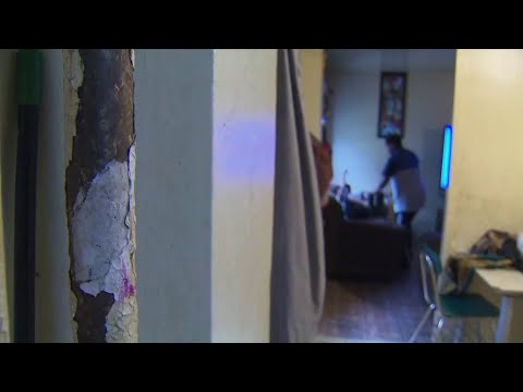 Push to remove lead from NYCHA housing