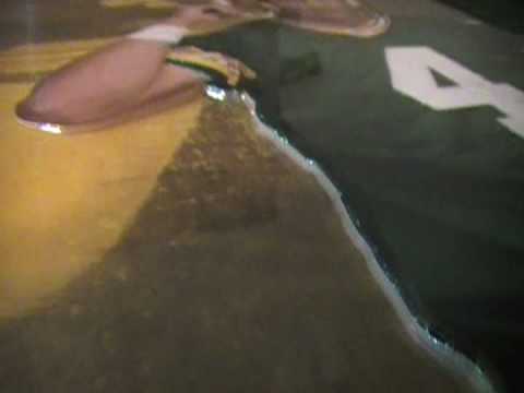 Green Bay Packers Brett Favre 3D Poster One of A kind