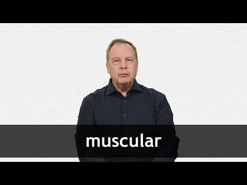 How to pronounce MUSCULAR in American English