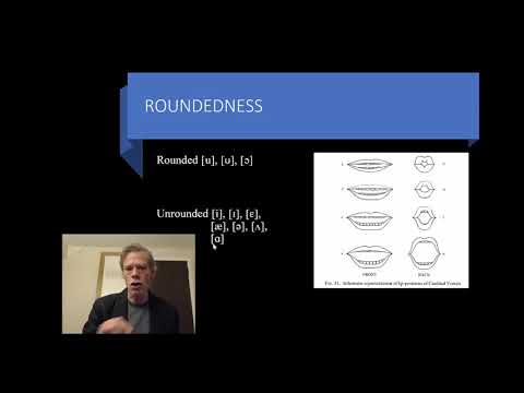 Phonetics Part 11: American English Vowels, Roundedness