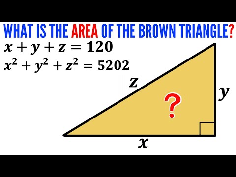 Can you find area of the Brown Triangle? | System of equations | #math #maths #geometry
