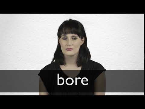 BORE definition and meaning | Collins English Dictionary