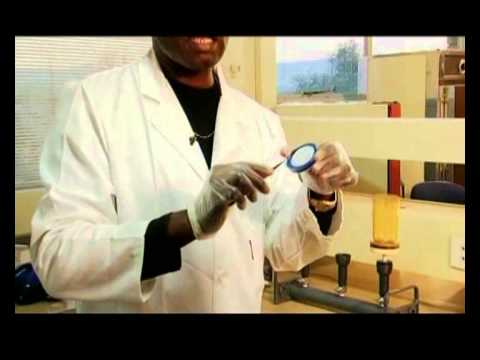 Laboratory Technician - SABC Education Career Guide