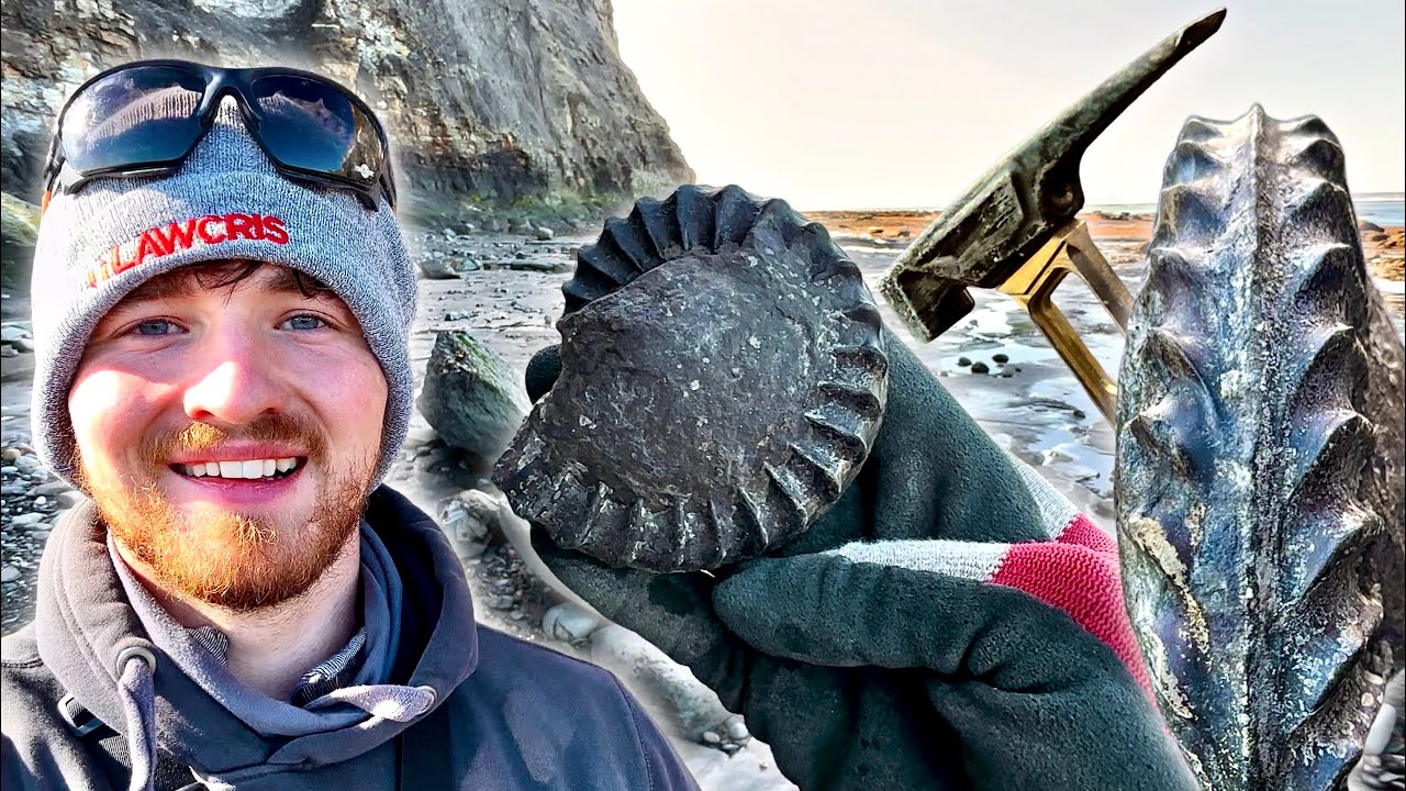 We Found A Strange Species! (EPIC Fossil Hunt!)