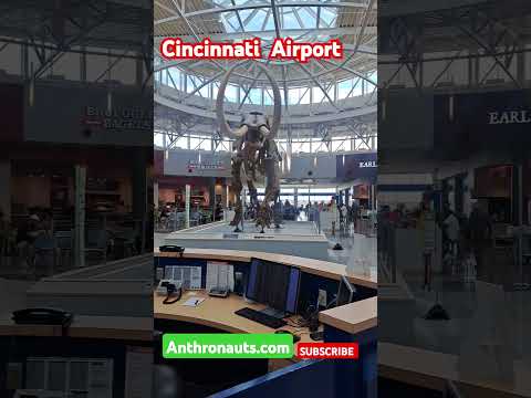 Cincinnati Airport: Arrival