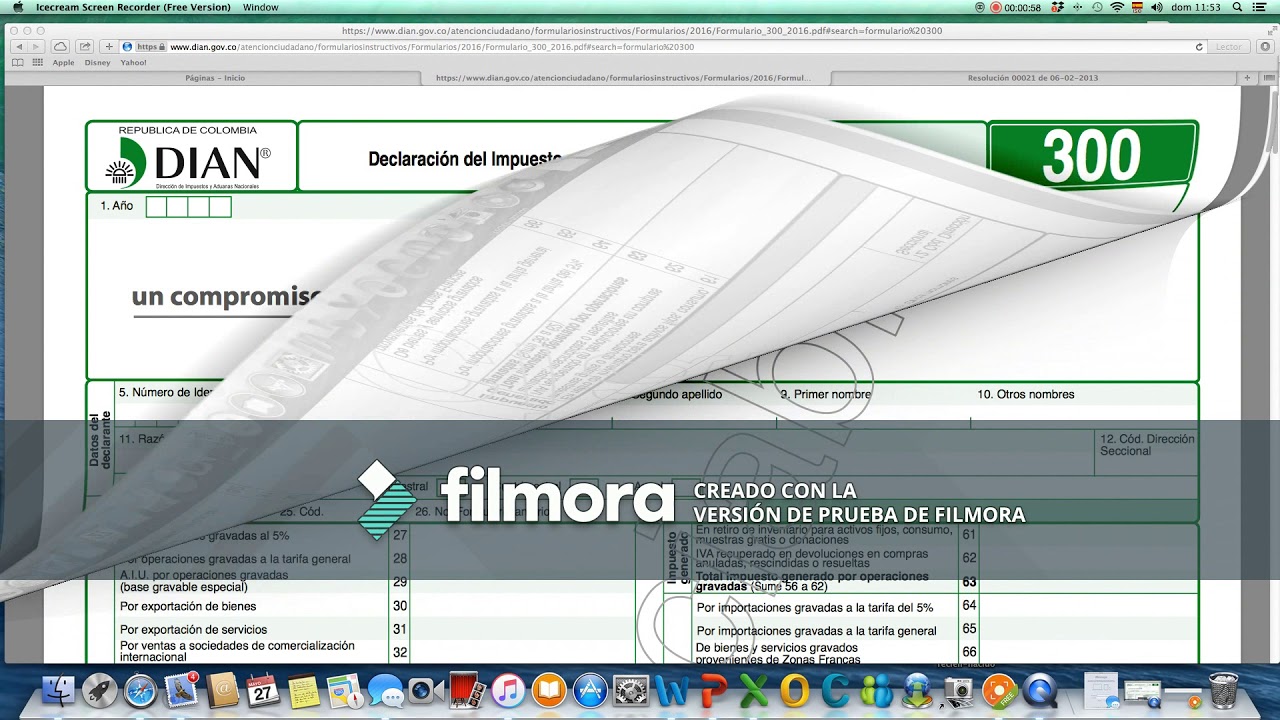 DILIGENCIAMIENTO FORMULARIO N° 300 DIAN
