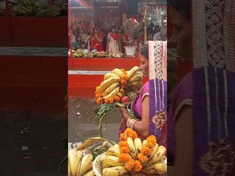 Ghunti bhara dhoti bhinje #chhathpuja2024 #mahaparvchhathpuja #shorts