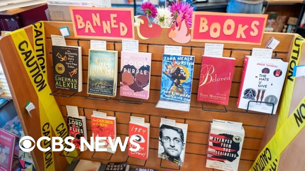 Record number of attempted book bans in 2022, American Library Association says