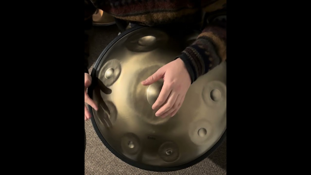 Sela Harmony Handpan D Amara 202