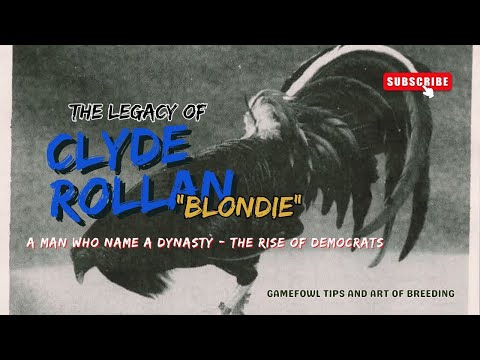 The Man Who Named a Dynasty: Clyde “Blondie” Rollan & the Rise of the Democrat Gamefowl Bloodline