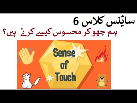 Science 6 in Urdu/Sense of touch/L 4 ہم چھو کر محسوس کیسے کرتے ہیں؟