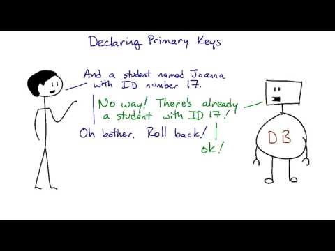 Learn Declaring Primary Keys Intro to Relational Databases - Mind Luster