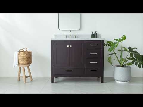 ARIEL Cambridge 42'' Left or Right Offset Single Sink Vanity Cabinet by KitchenSource.com